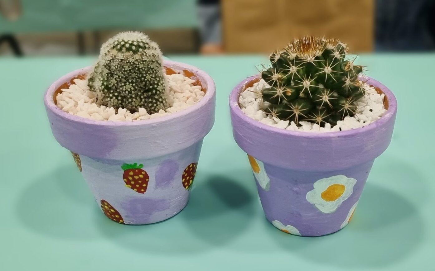 Custom Cacti - Where Creativity Blooms and Memories Grow