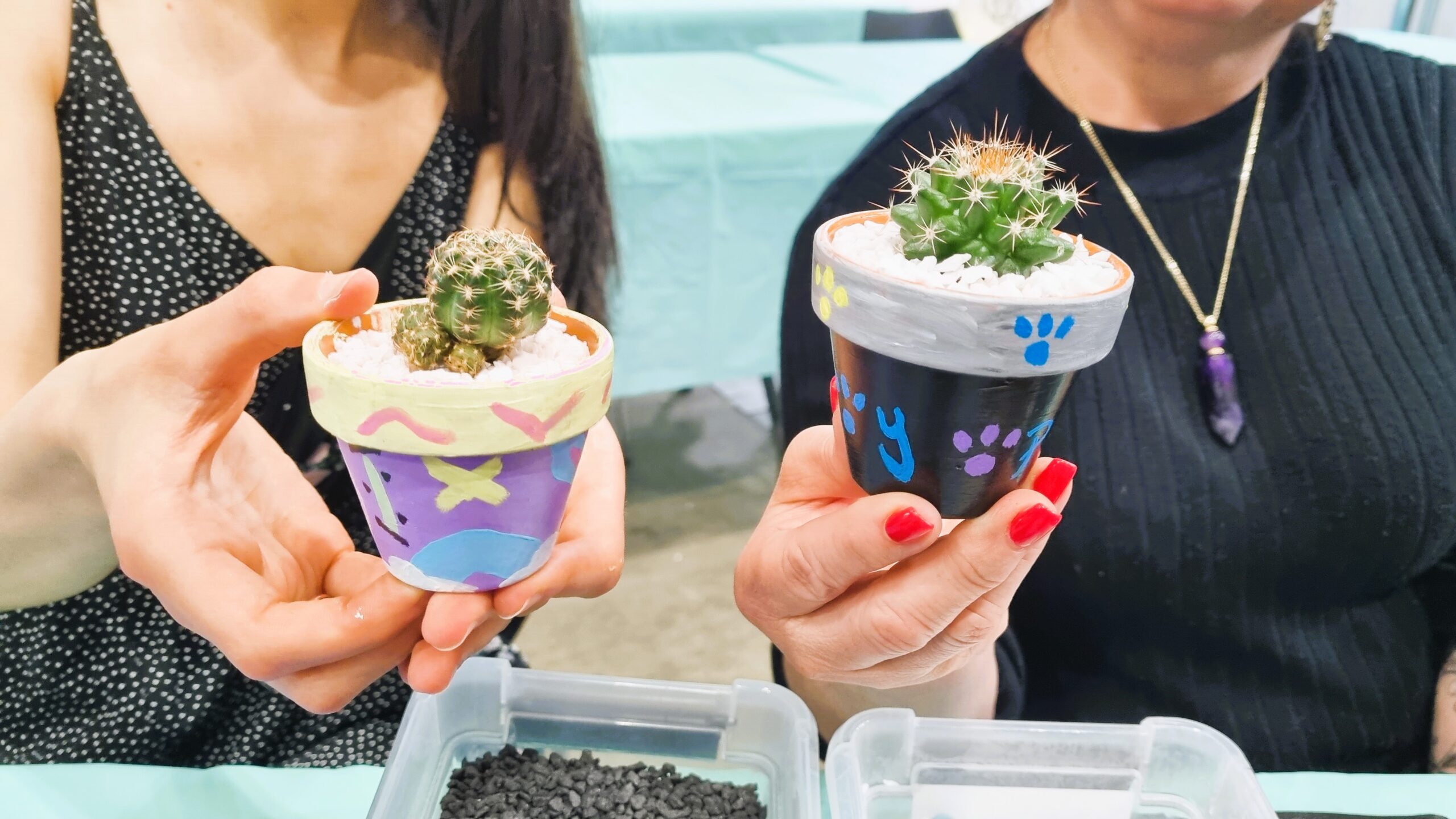 Custom Cacti - Where Creativity Blooms and Memories Grow
