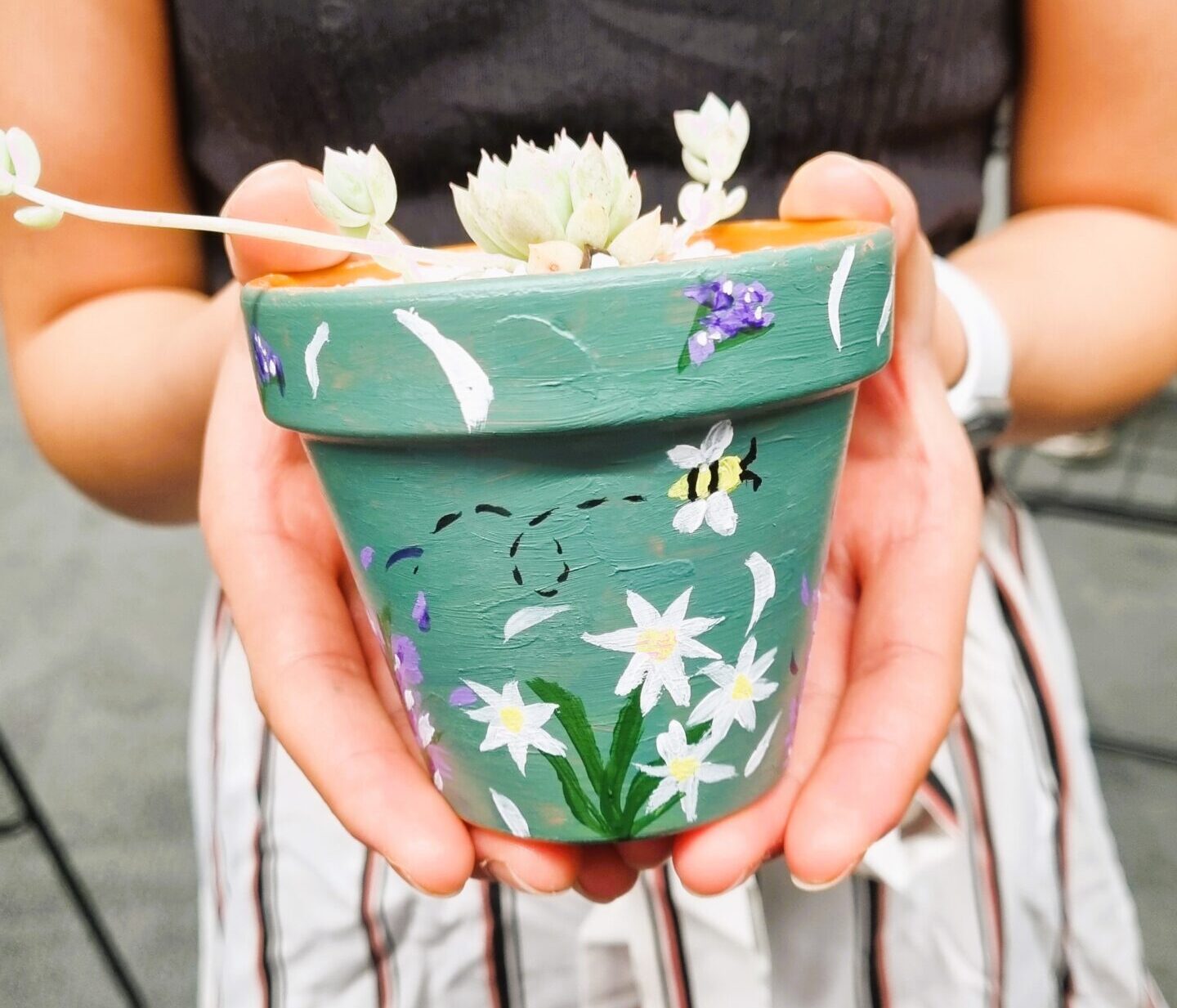 Custom Cacti - Where Creativity Blooms and Memories Grow